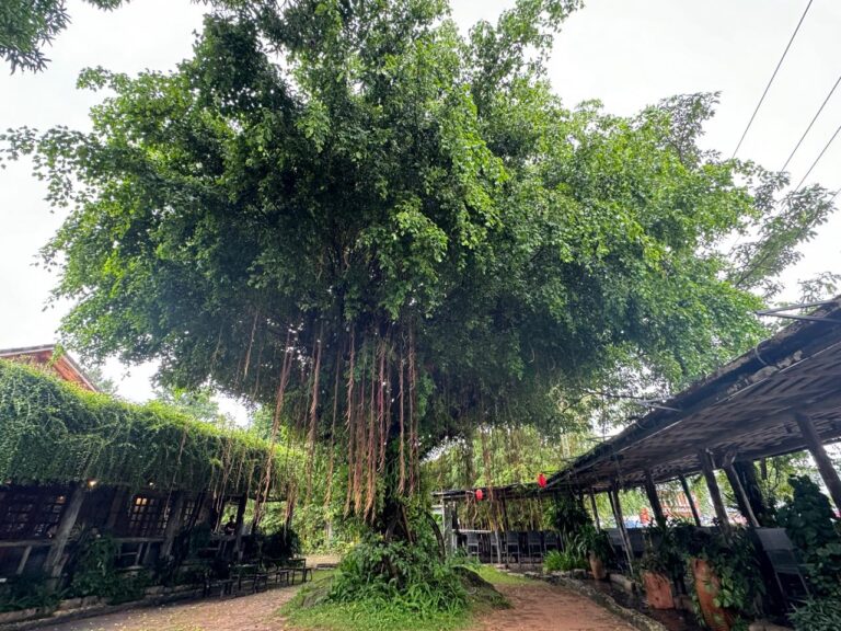 【Phu Quoc 西側】ローカルカフェかと思いきやエアコン完備の古城のようなデザインのカフェ！ ~ AnBa Cafe | フードアナリスト ...