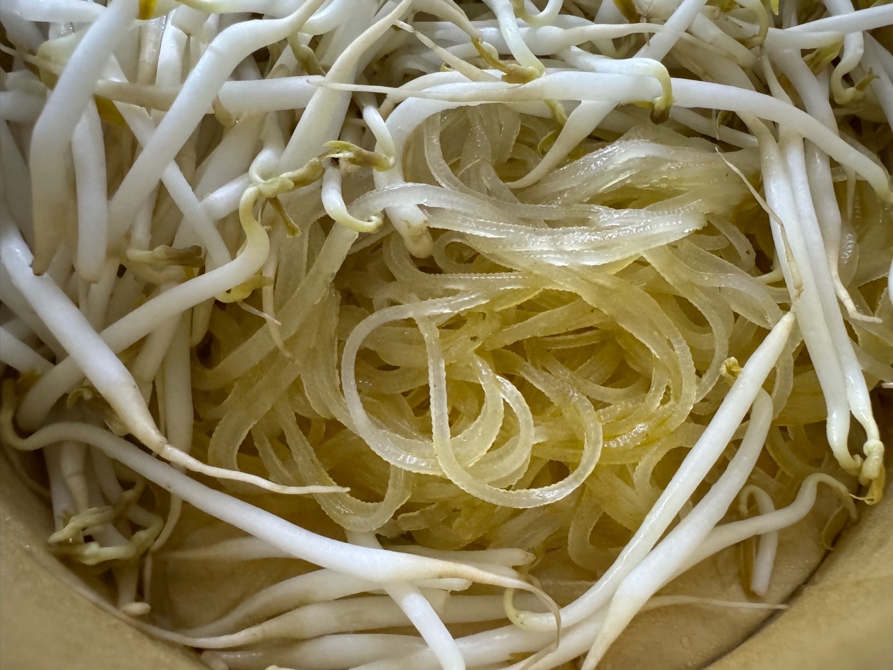 【Ho Chi Minh・Grab Food】もちもち Hu Tieu？しっかりスープのボリューム麺！ ~ Bun Ham Sa Thuc ...