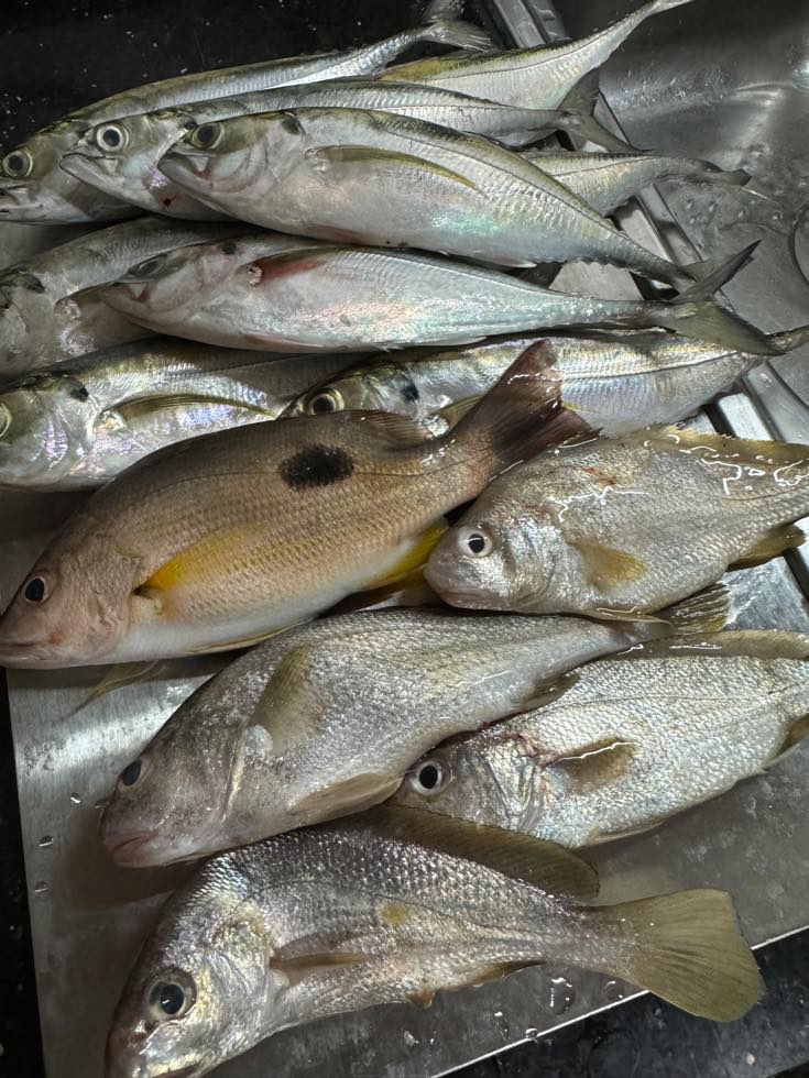 【ちぇり飯】生魚・冷凍魚を調理する前に、美味しく化ける簡単なひと手間！ | フードアナリストちぇりのホーチミンの美味いもん