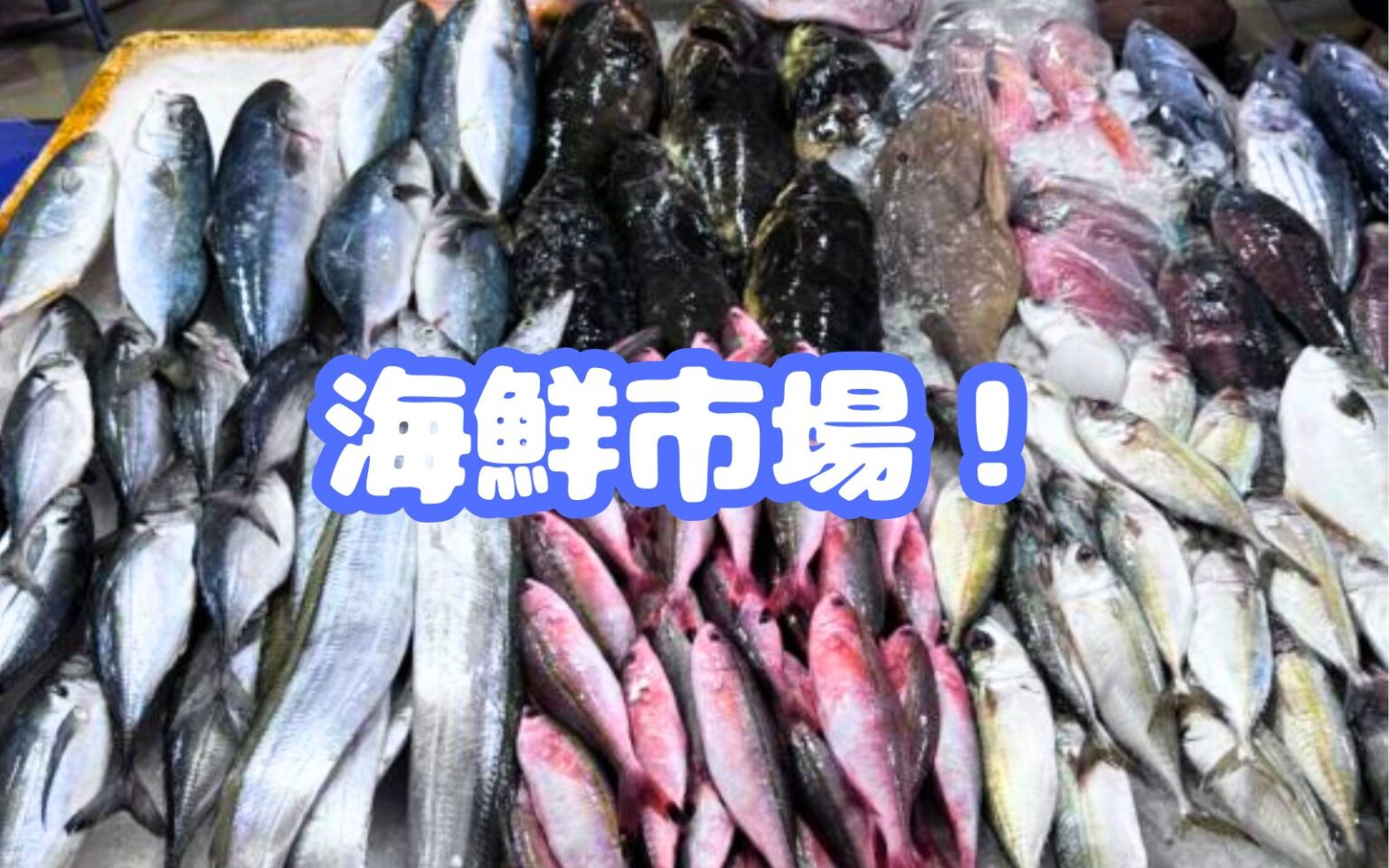 【Vung Tau】観光市場だけど行く価値はある？！ ~ Vua Hai San Kim Loan / Cho Hai San Vung ...